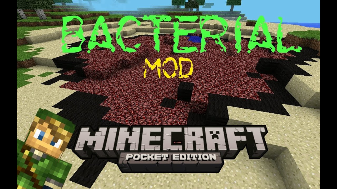 BACTERIAL / INFECTION MOD | MINECRAFT PE | INCREÍBLE MOD!! - YouTube