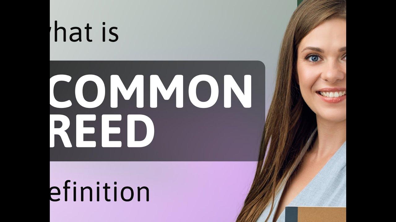 Common Reed What Is COMMON REED Definition YouTube common-reed-what-is-common-reed-definition-youtube