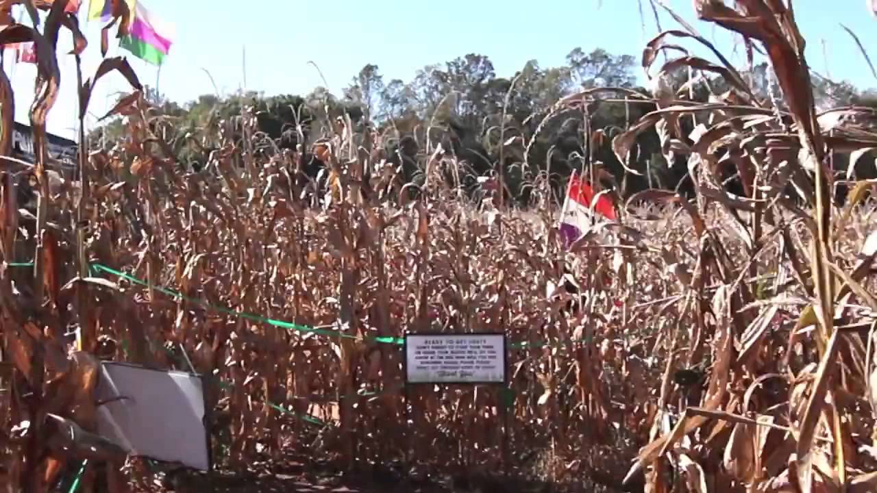 Rural Hill Amazing Maize Maze - YouTube