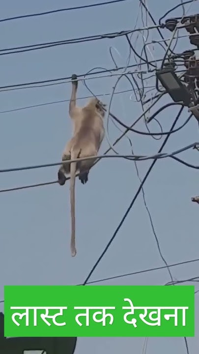 दम है तो हंसी रोक कर दिखाओ जय बजरंगबली जय हो कॉमेडी शॉर्ट वीडियो