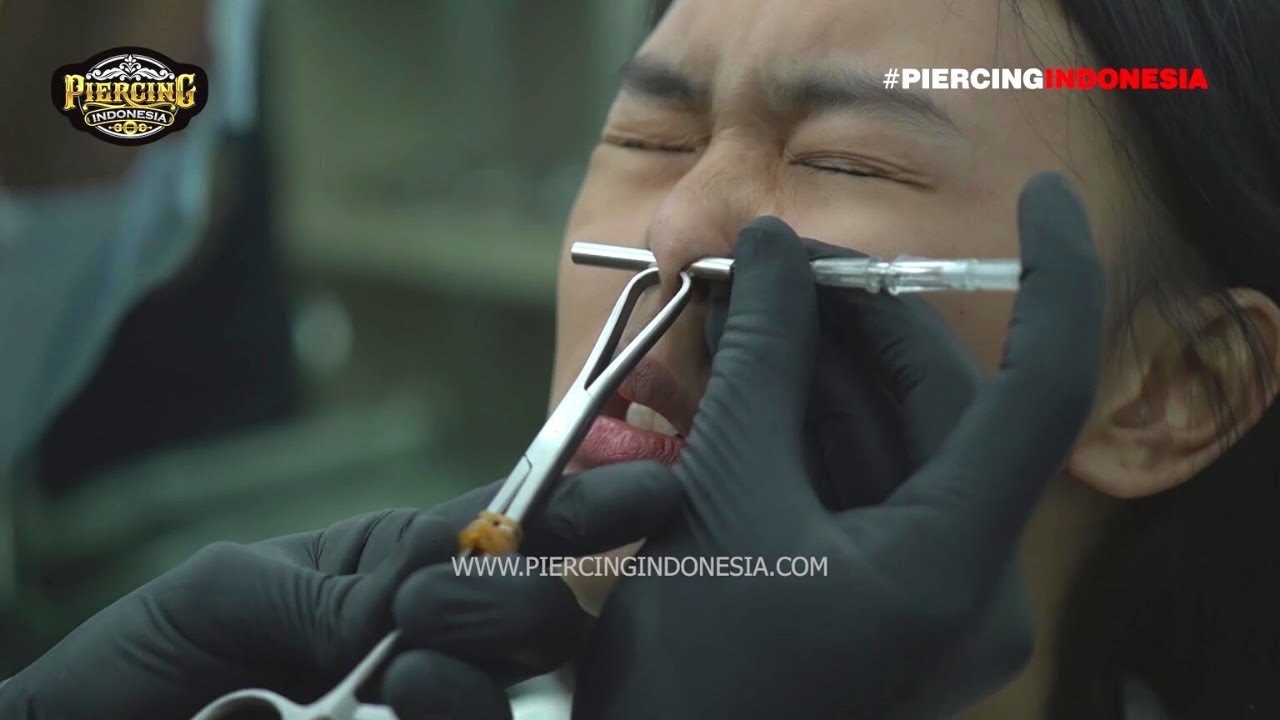 Septum Piercing JAKARTA Tindik Hidung - YouTube