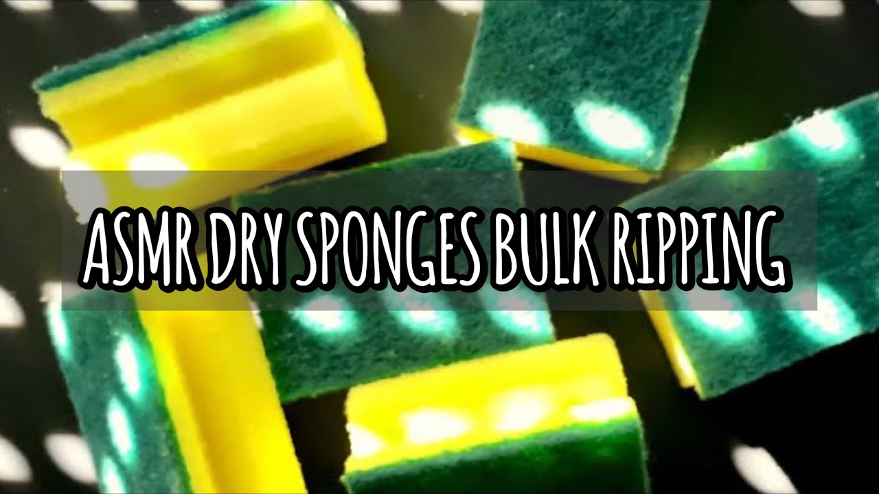 ASMR SPONGE RIPPING // BULK RIPPING DRY CLASSIC SPONGES - YouTube