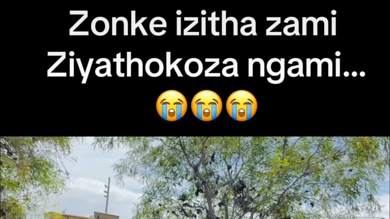 Zonke izitha zami… Ziyathokoza ngami…😭🥹🥹 | Shembe uNyazi Lwezulu - YouTube