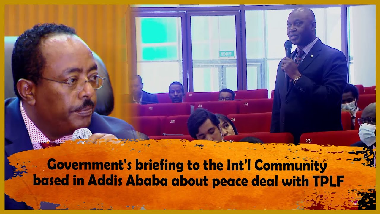 Government's briefing to the Int'l Community based in Addis Ababa about ...