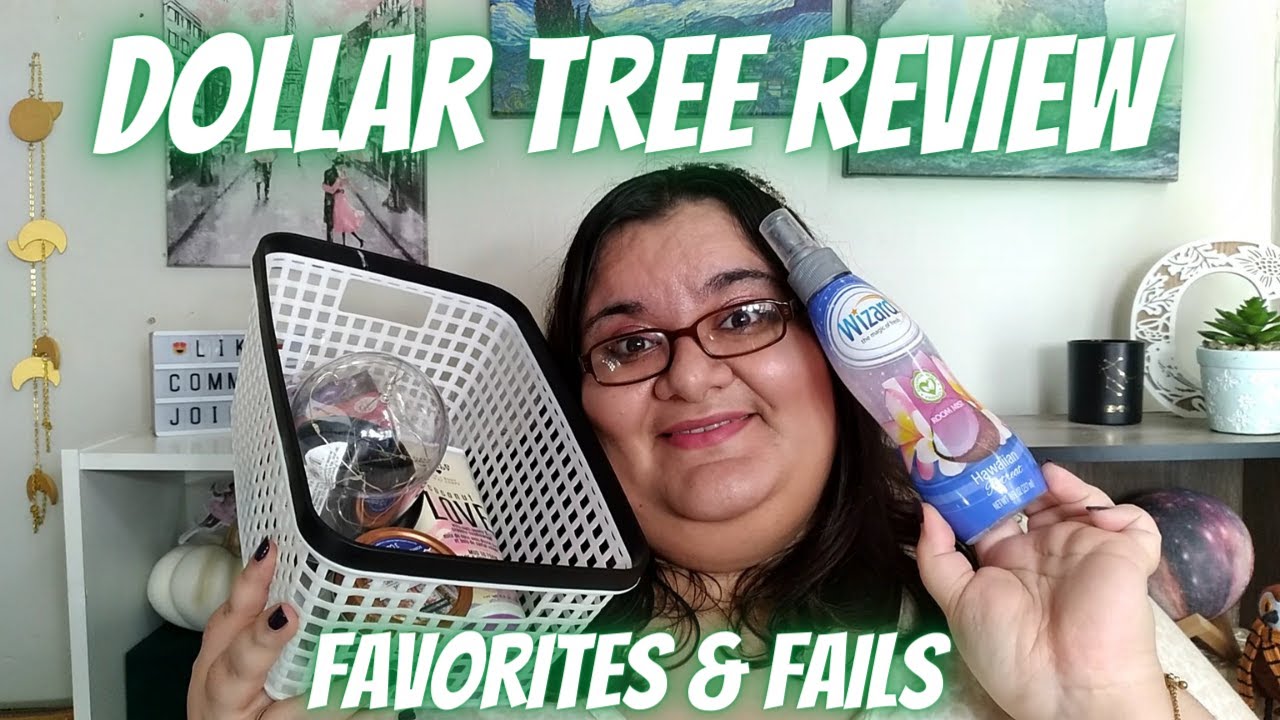 Dollar Tree Friday Favorites & Fails l What You Should Buy And Skip ...