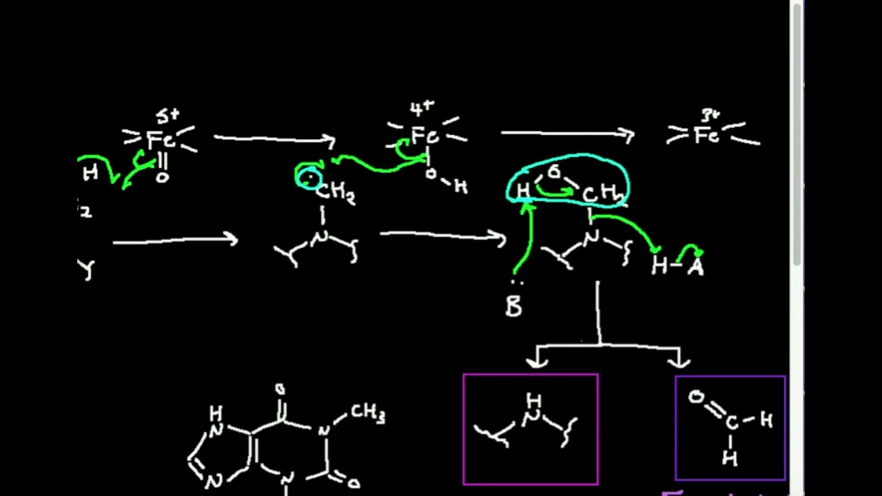 Caffeine Demethylase Mechanism - YouTube