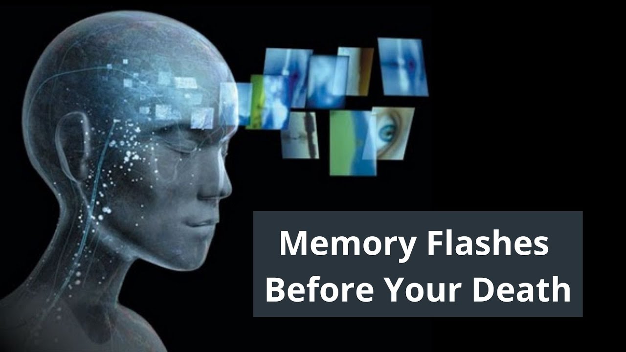 Memory Retrieval Before Death | Research by University of Toronto ...