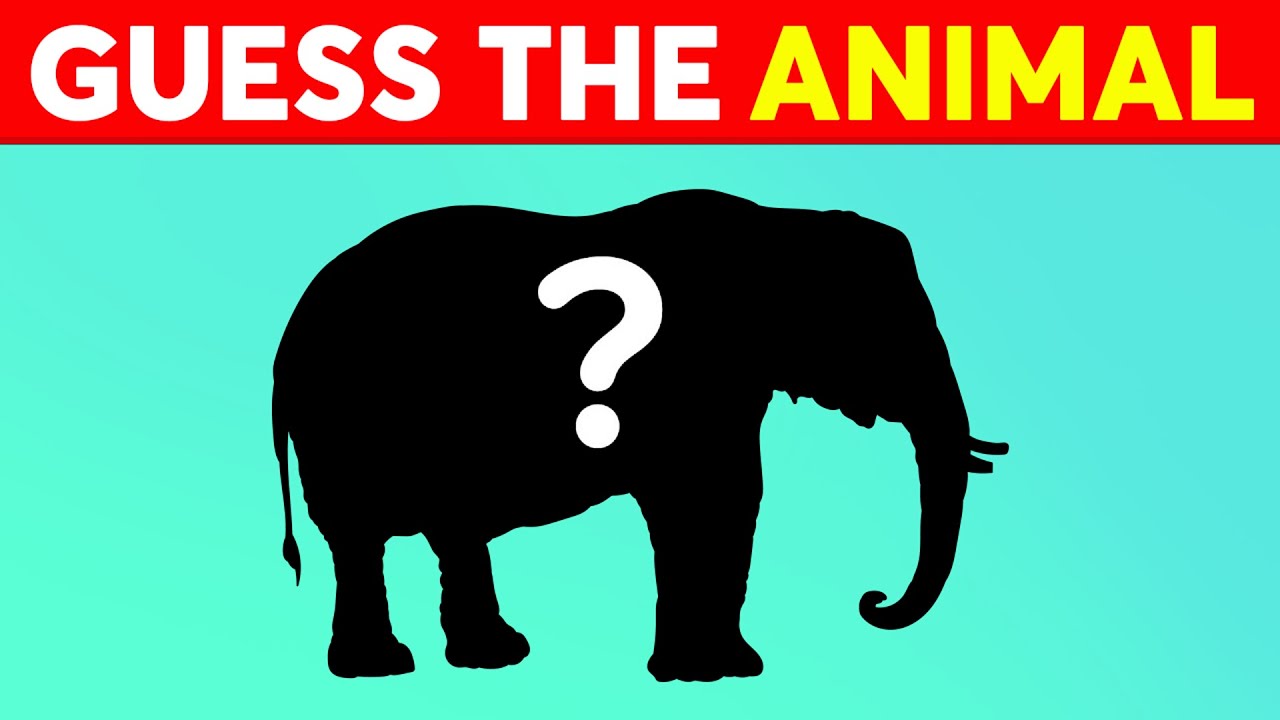 Guess The Animal By Shadow 🐶🐘 Guess The Animal Quiz - YouTube