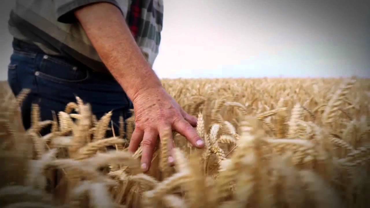 Mutual Benefit Group - A Mutual Insurance Company - YouTube