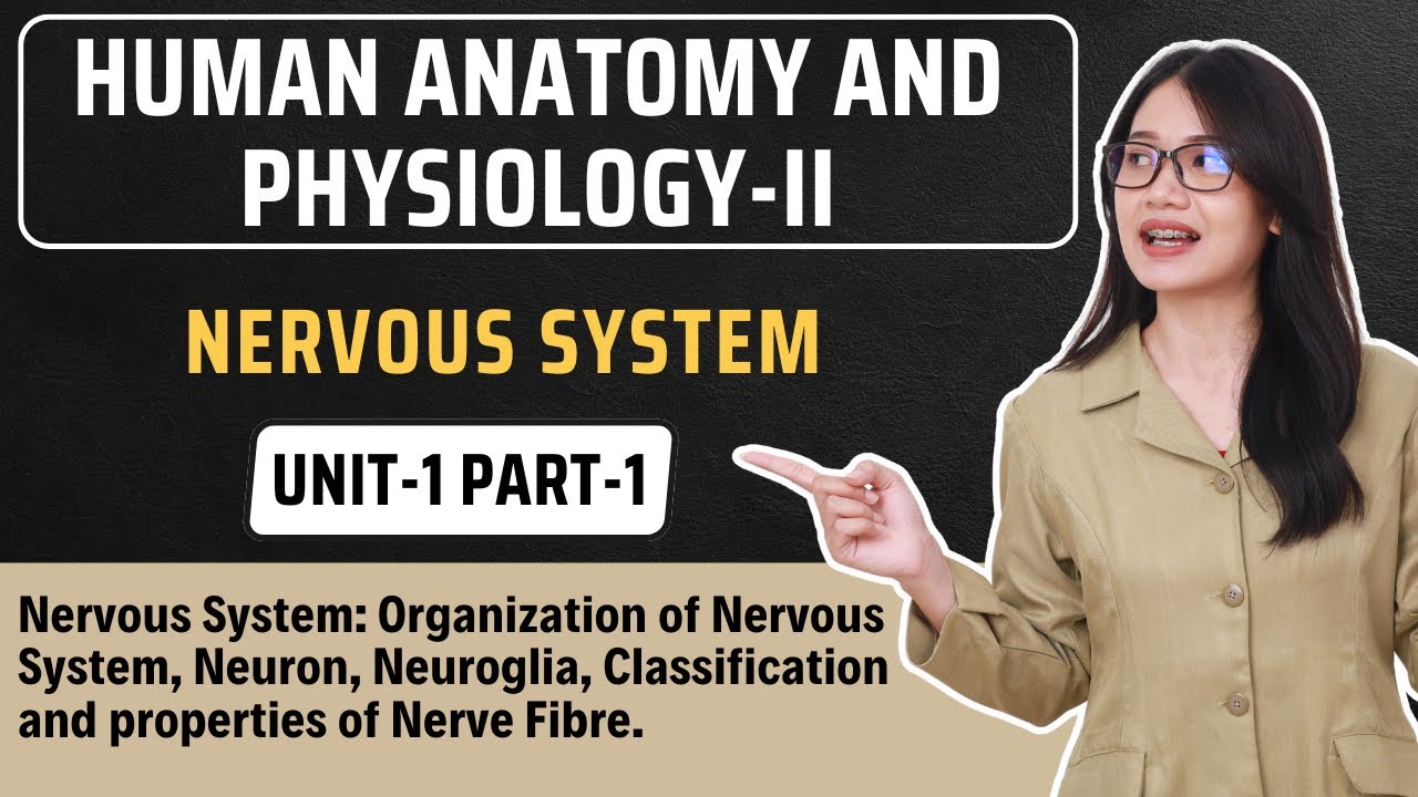 HAP-2 | Nervous System | Unit-1 Part-1 | B.Pharma 2nd Semester Notes ...