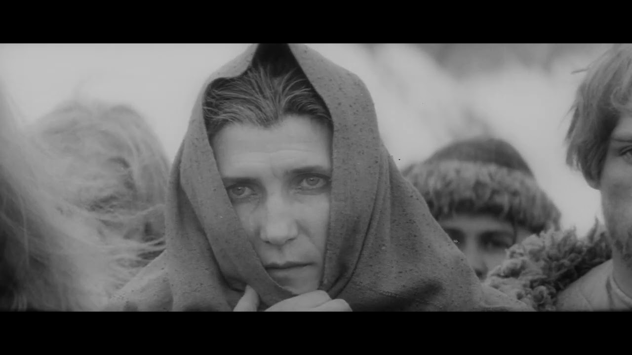 Selected scene Commentary with Vlada Petric (1998) - Andrei Tarkovsky ...