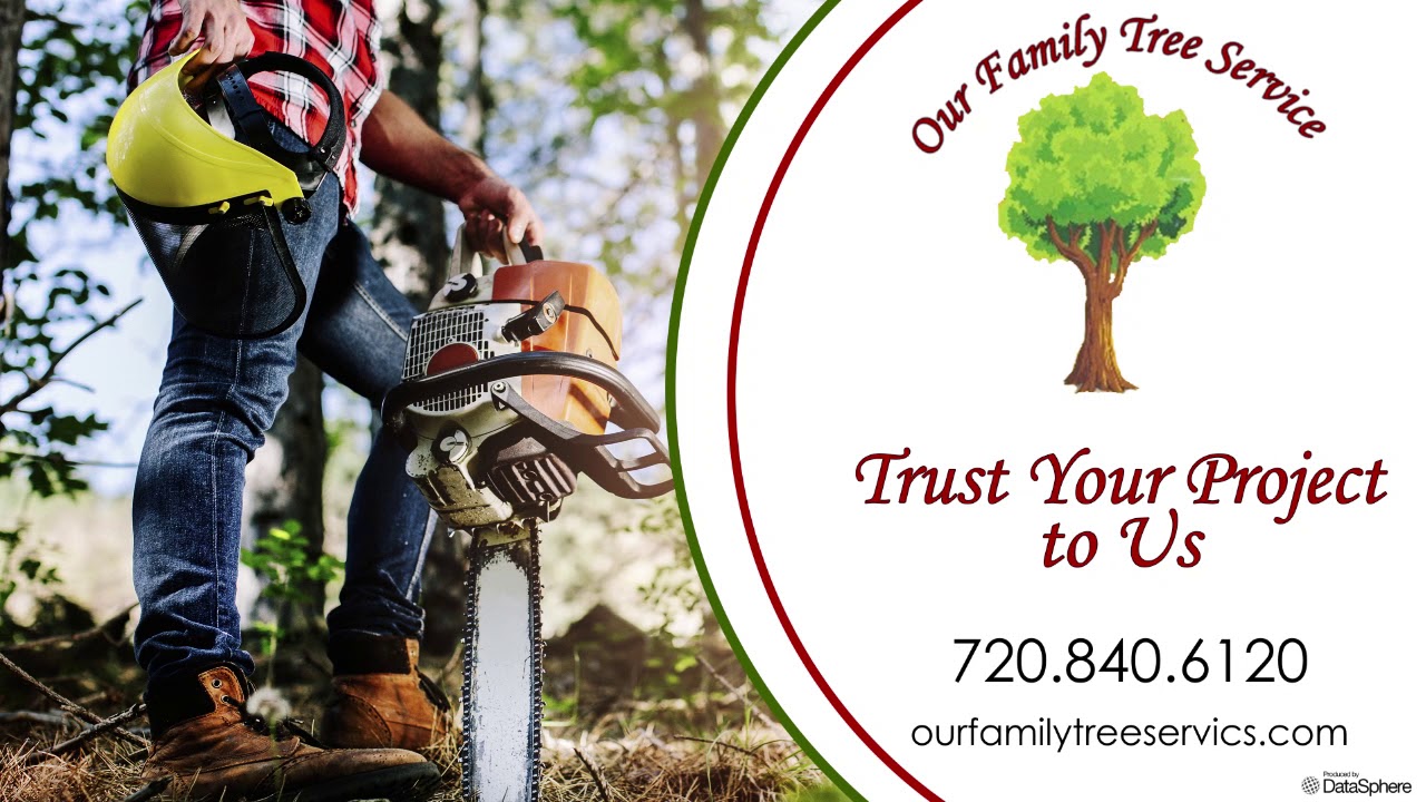 Our Family Tree Service | Tree Service in Dupont - YouTube