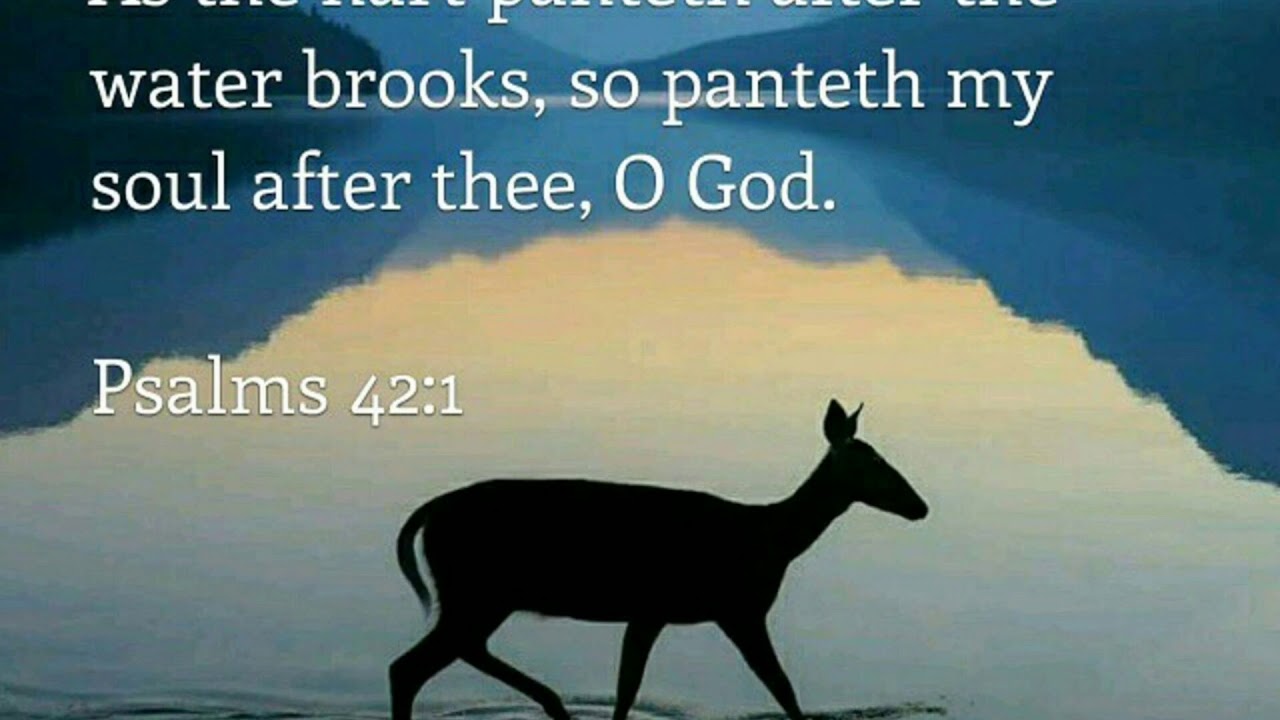🎶 'As the Deer Panteth for the Water' - One Verse of the hymn based on ...