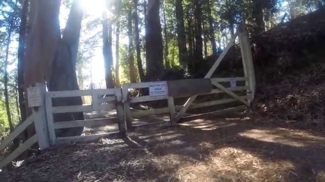 Neil Young Broken Arrow Ranch