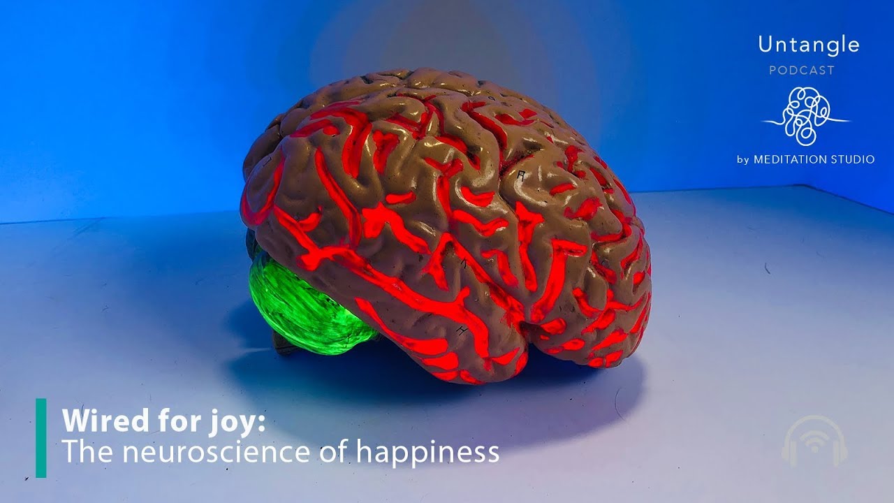 Wired for joy: The neuroscience of happiness - YouTube
