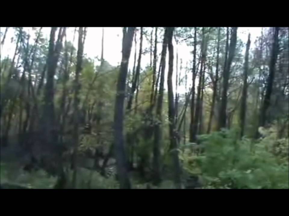 October morning. Music "Okarina song" - YouTube