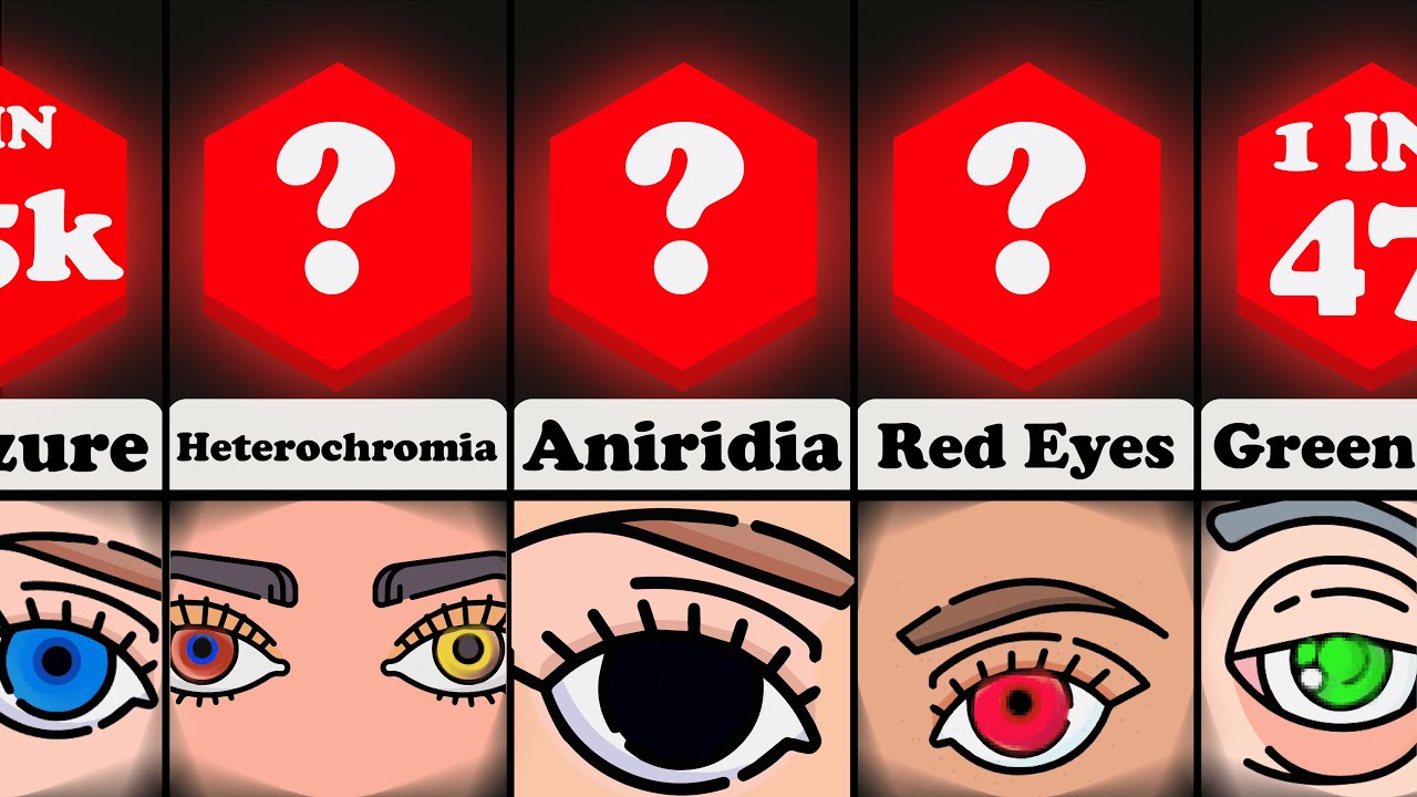 Probability Comparison Eye Color - YouTube