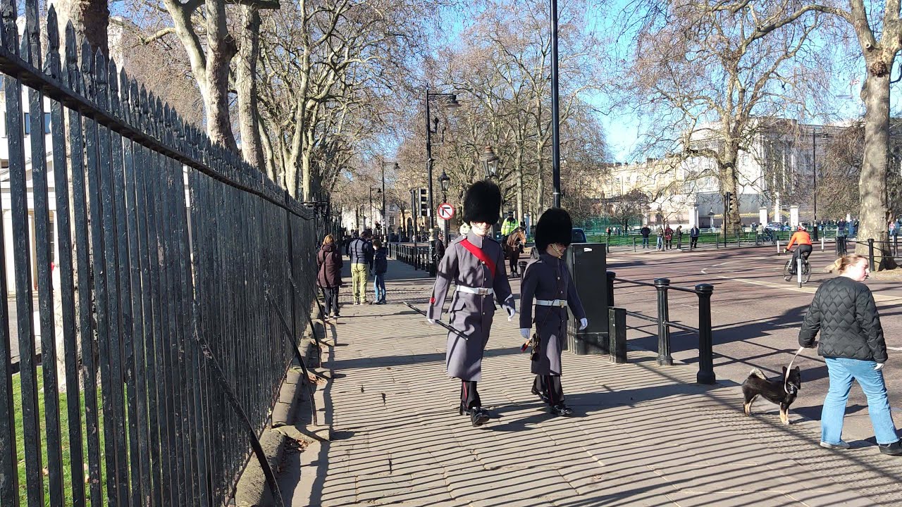 Where Are These Two Guards Going? - YouTube