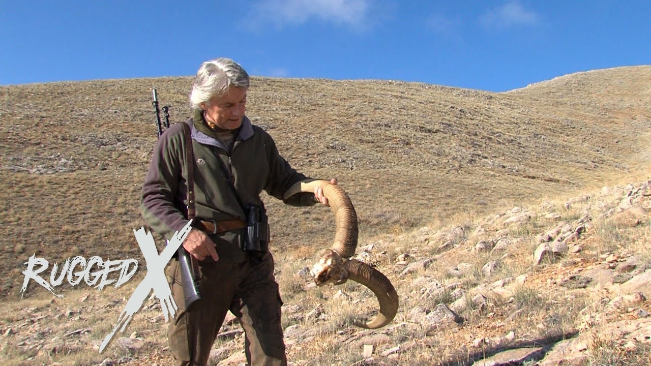Konya Mouflon and Hybrid Ibex of the Turkish Mountains - YouTube
