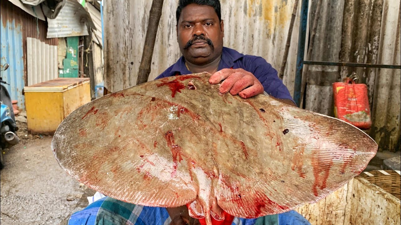 KASIMEDU 🔥 SPEED SELVAM | FLYING RAY FISH CUTTING VIDEO | 4K VIDEO | KM ...