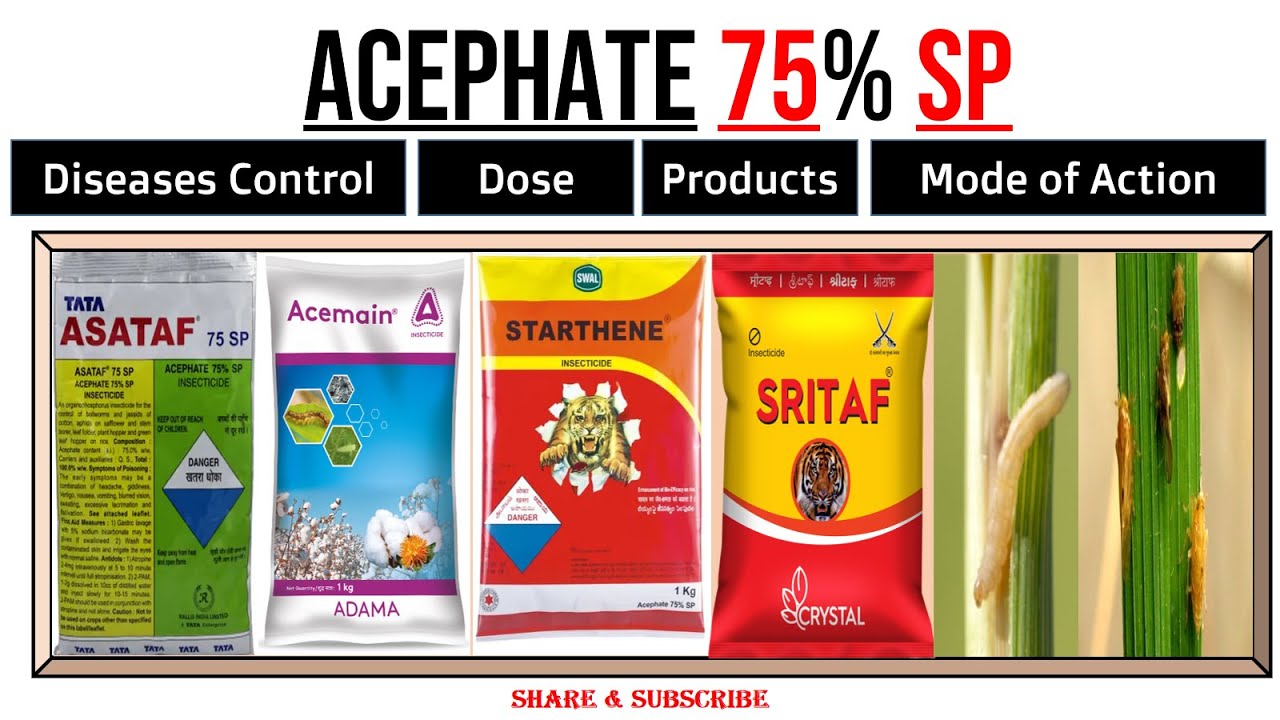 Acephate 75% SP | Acephate Insecticide | Uses | Dose | For which ...