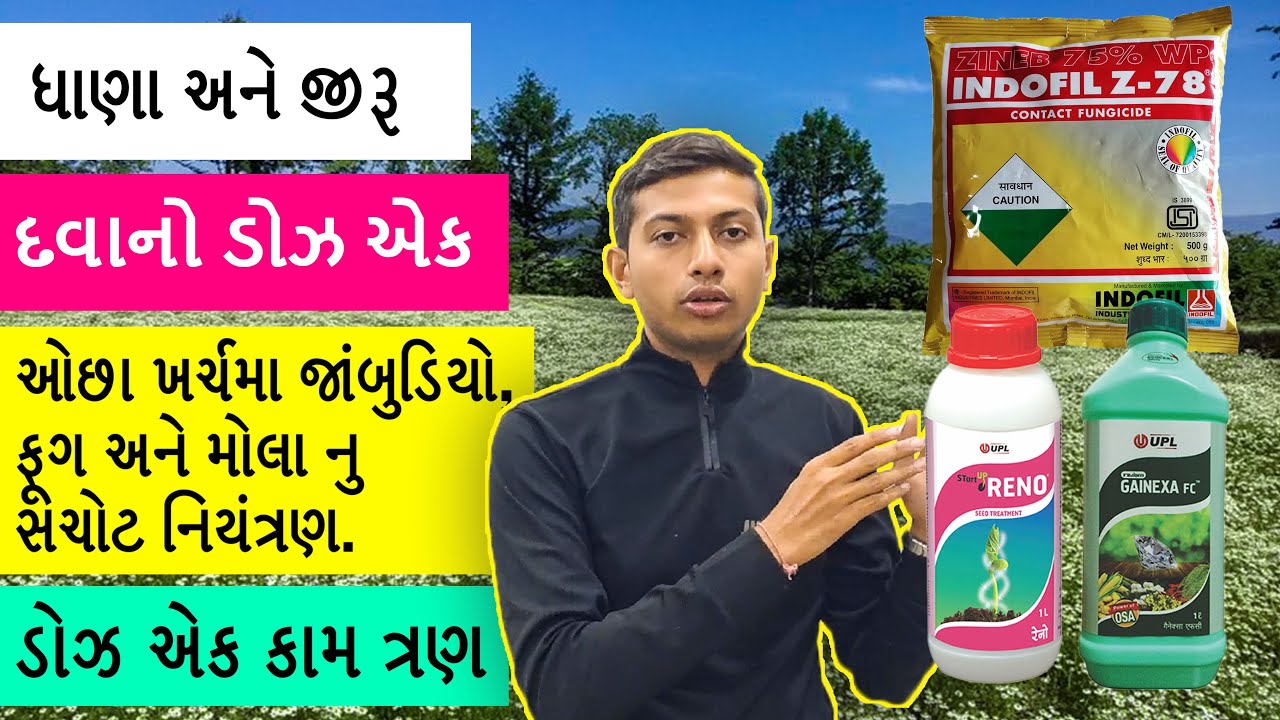 ધાણા મા આવેલ જાંબુડિયો, ફૂગ અને મોલા નુ સચોટ નિયંત્રણ. (Indofil Z-78 ...