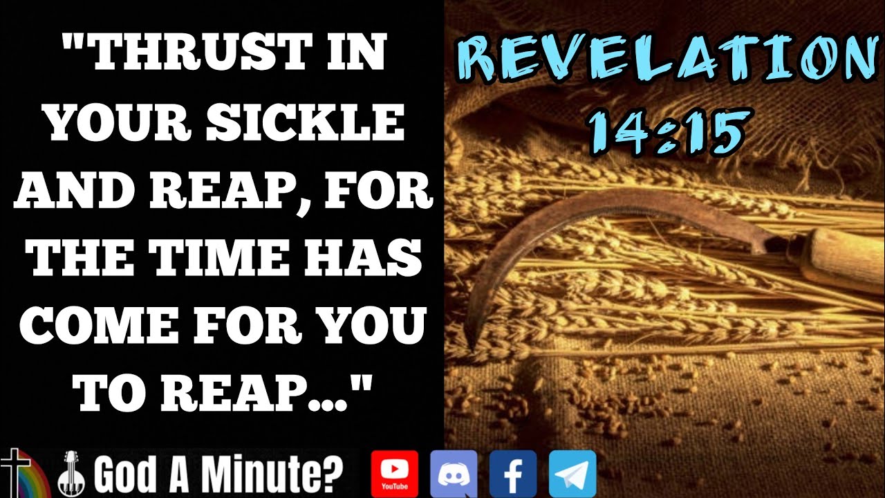 The Harvest Of The Earth Is Ripe! Rapture Comes With A Sickle! 🥖🥖🌾🌾 ...