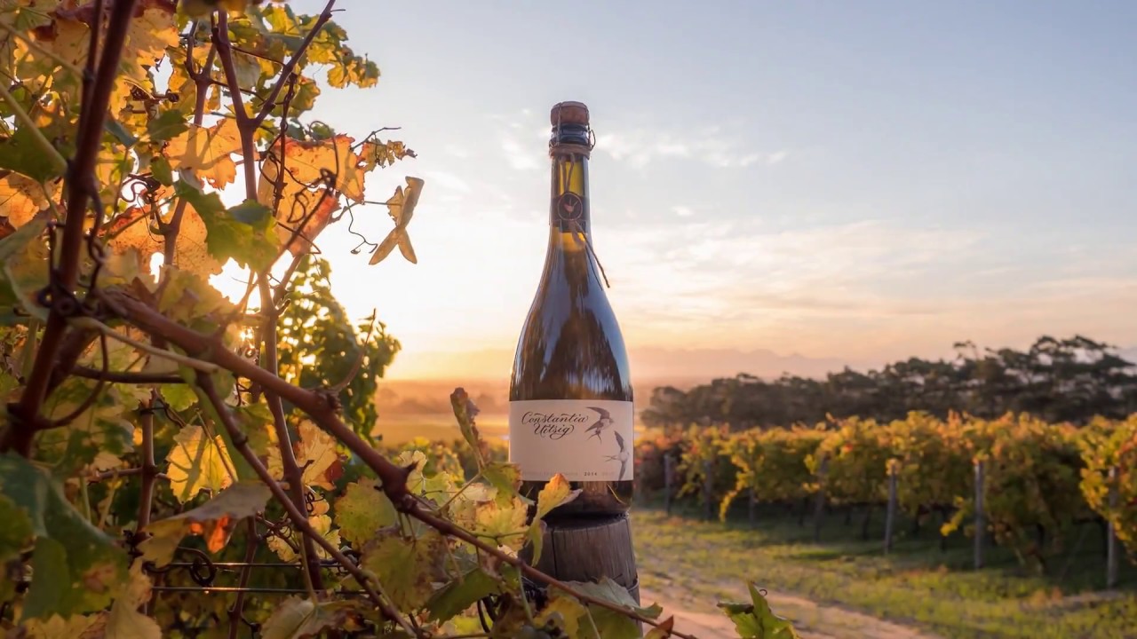 333 Years of the Constantia Wine Route - YouTube