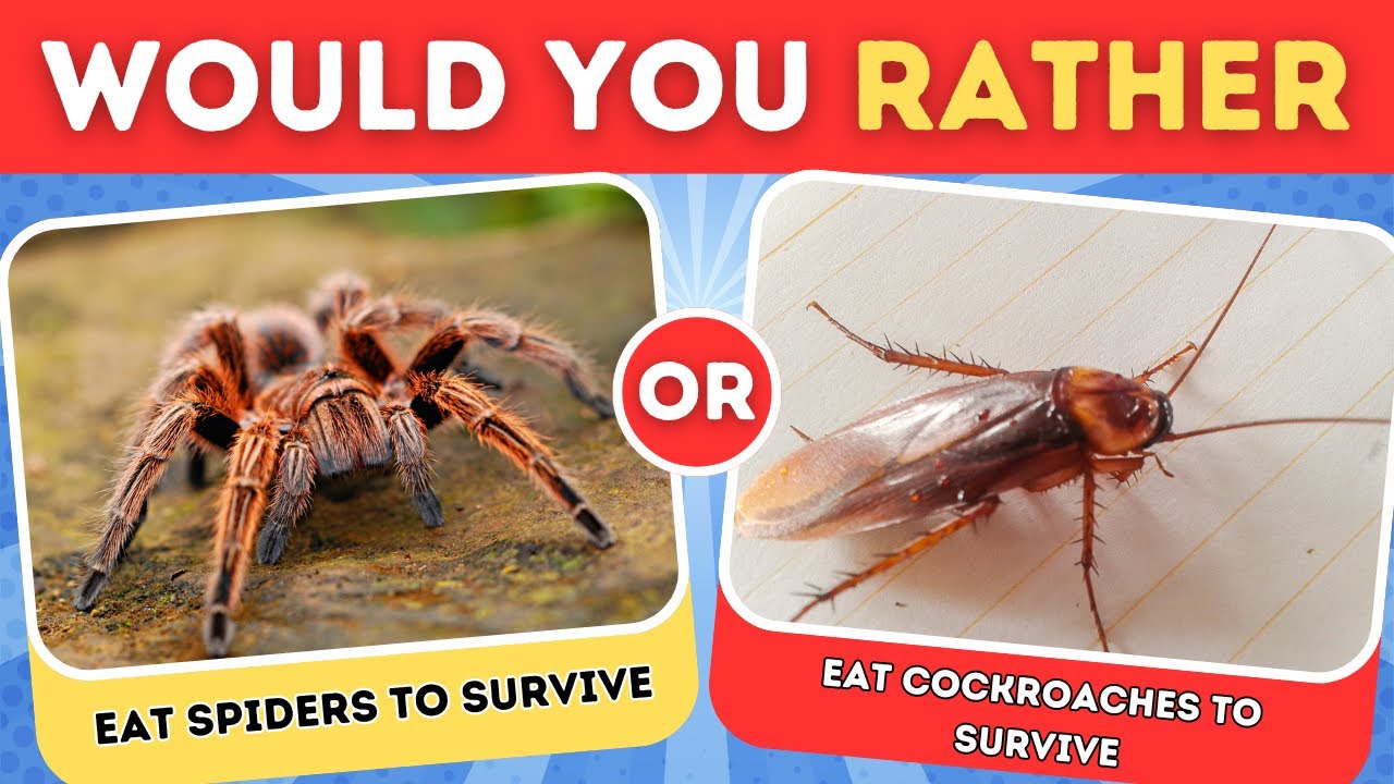 How Would You Decide? The Ultimate ‘Would You Rather’ Challenge | Probe ...