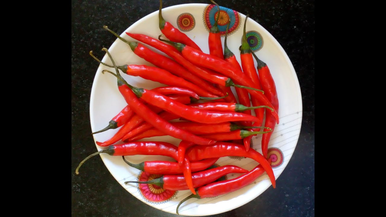 Homemade spicy Red Chilli sauce Recipe | Raw Chilli Garlic Sauce ...