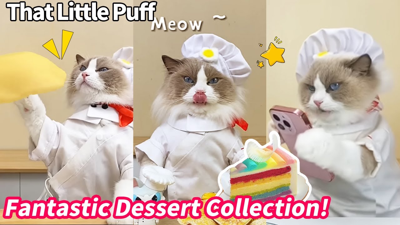 🍰Chef Cat: Fantastic Dessert Collection! | That Little Puff - YouTube