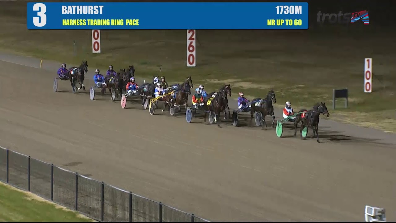 BATHURST - 03/06/2020 - Race 3 - HARNESS TRADING RING PACE - YouTube