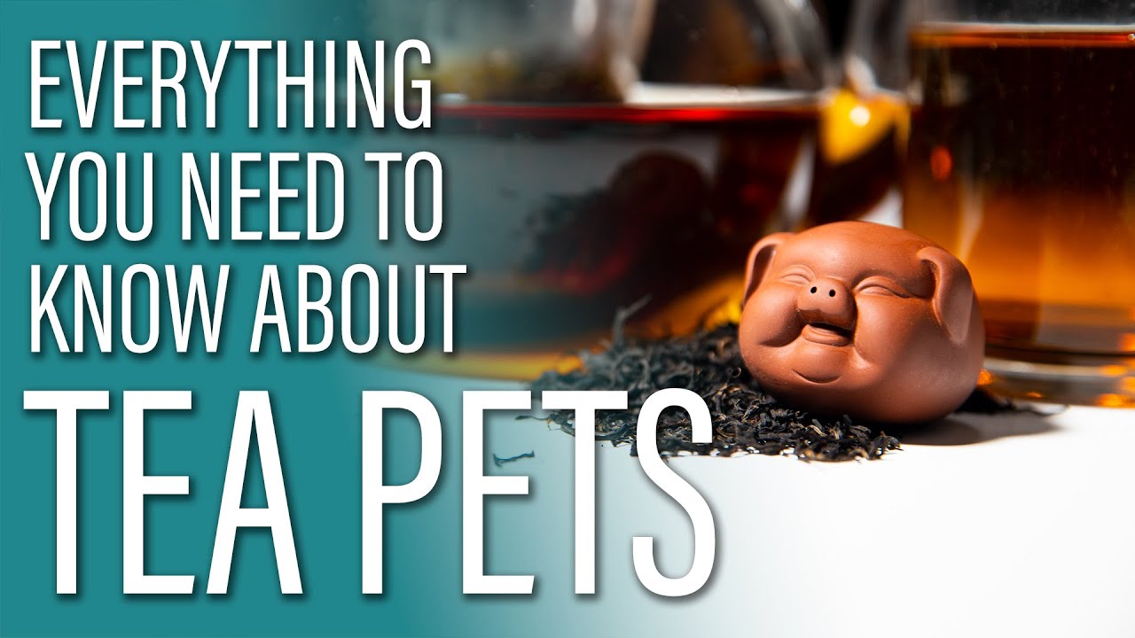 How to Use Tea Pets - YouTube
