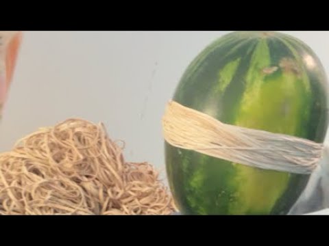 WATERMELON EXPLOSION!!!!!
