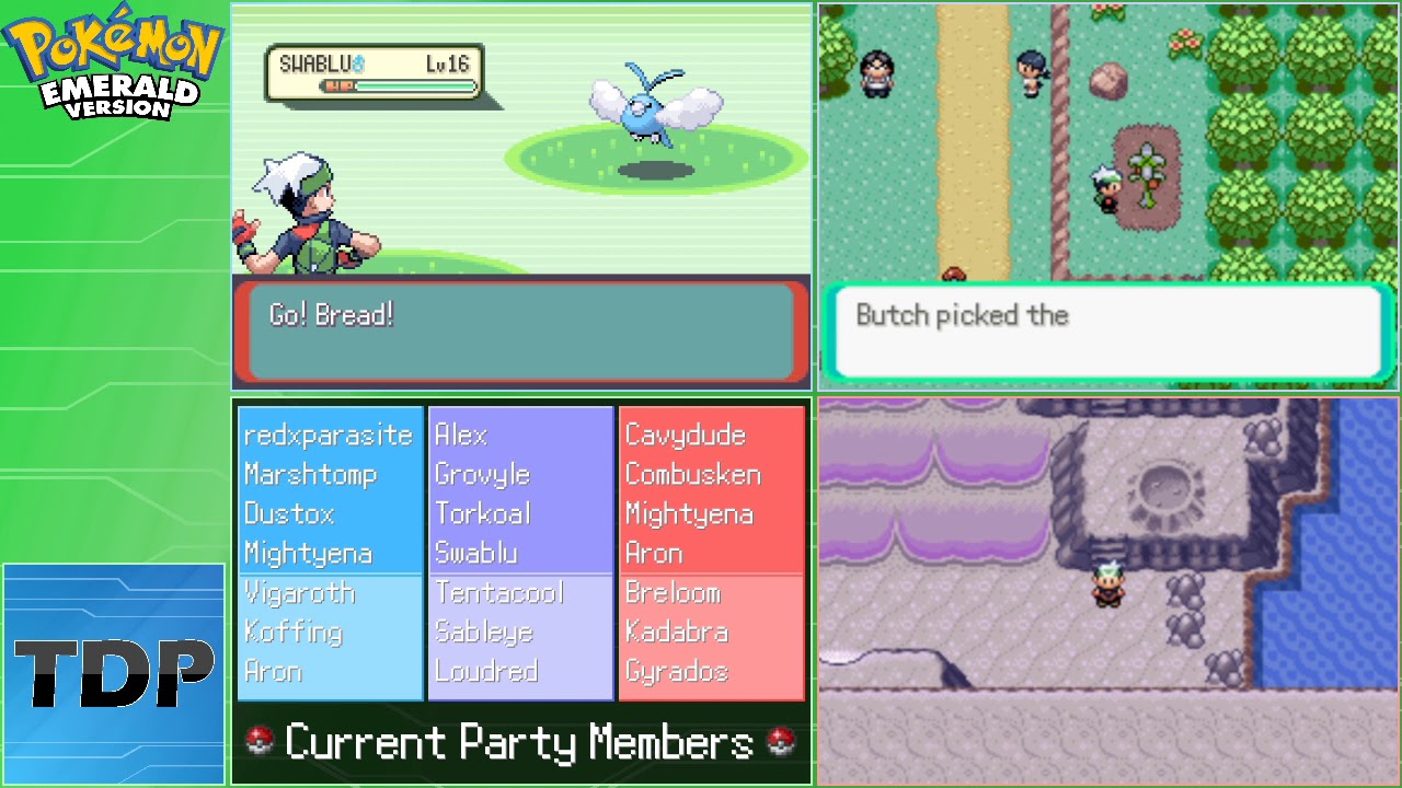 Pokémon Emerald | Three-Way Soul Locke - Stream 6 - YouTube