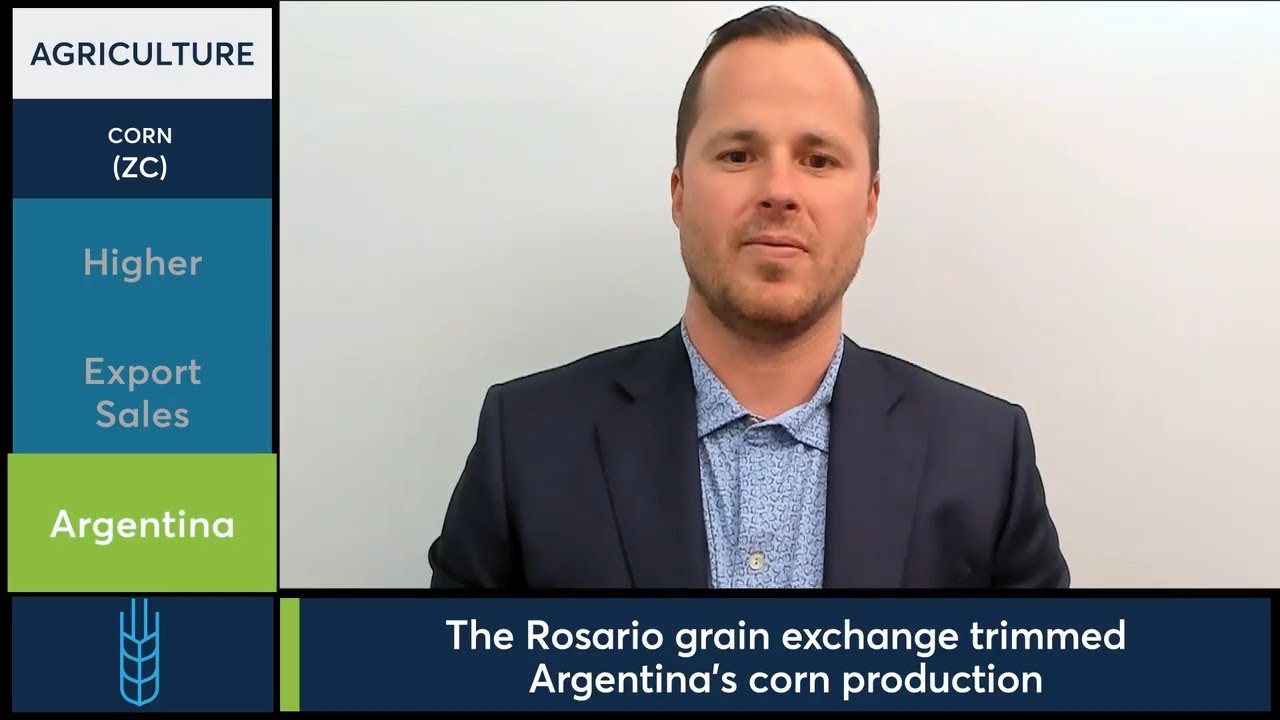 Corn futures were 4 1/2 cents higher today. 3/13/25 - YouTube