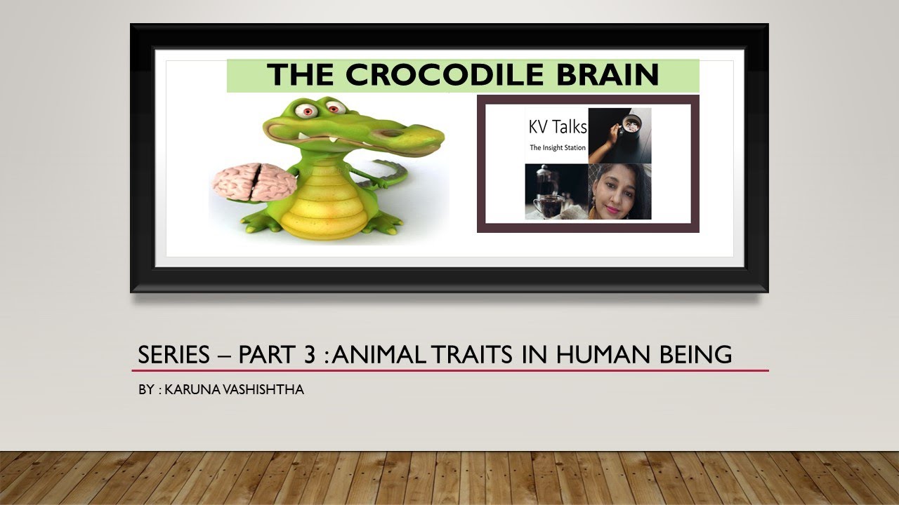 Part-3 The Crocodile 🐊 Brain - YouTube