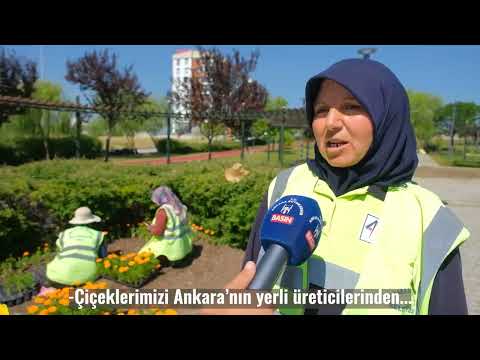 🌺 Sözleşmeli üreticilik modeliyle yerli üreticimize kazandırıyor hem de Başkent’e çiçek açtırıyoruz.