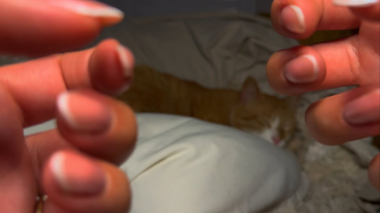 ASMR | Explaining cat behaviour (hand movements & clicky whispering ...