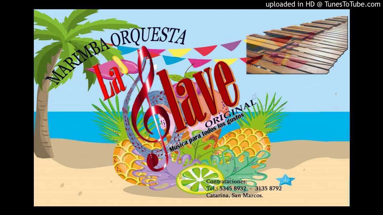 EL TAKA TAKA YouTube Music el-taka-taka-youtube-music