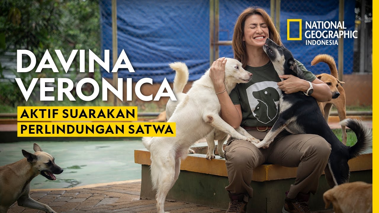 Mengenal Davina Veronica Sosok Perempuan Penyelamat Satwa - YouTube
