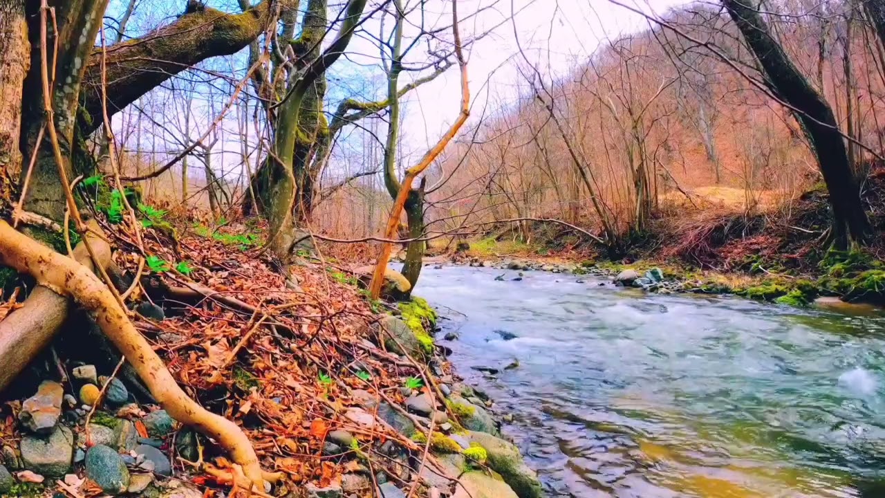 Nature Calm And Gentle Sound For Relax And Sleep | Lite Relaxation ...
