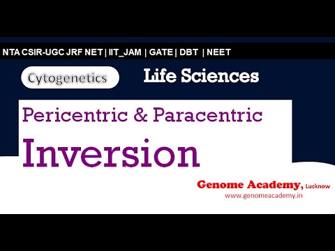 Pericentric & paracentric Inversion || cytogenetics || CSIR || NTA ...