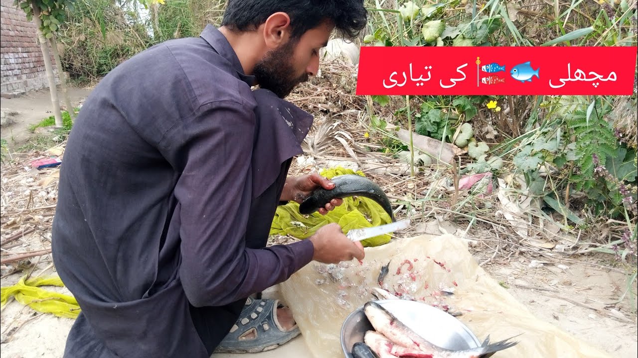 Cutting of Fish Method | Fish Preparation - YouTube