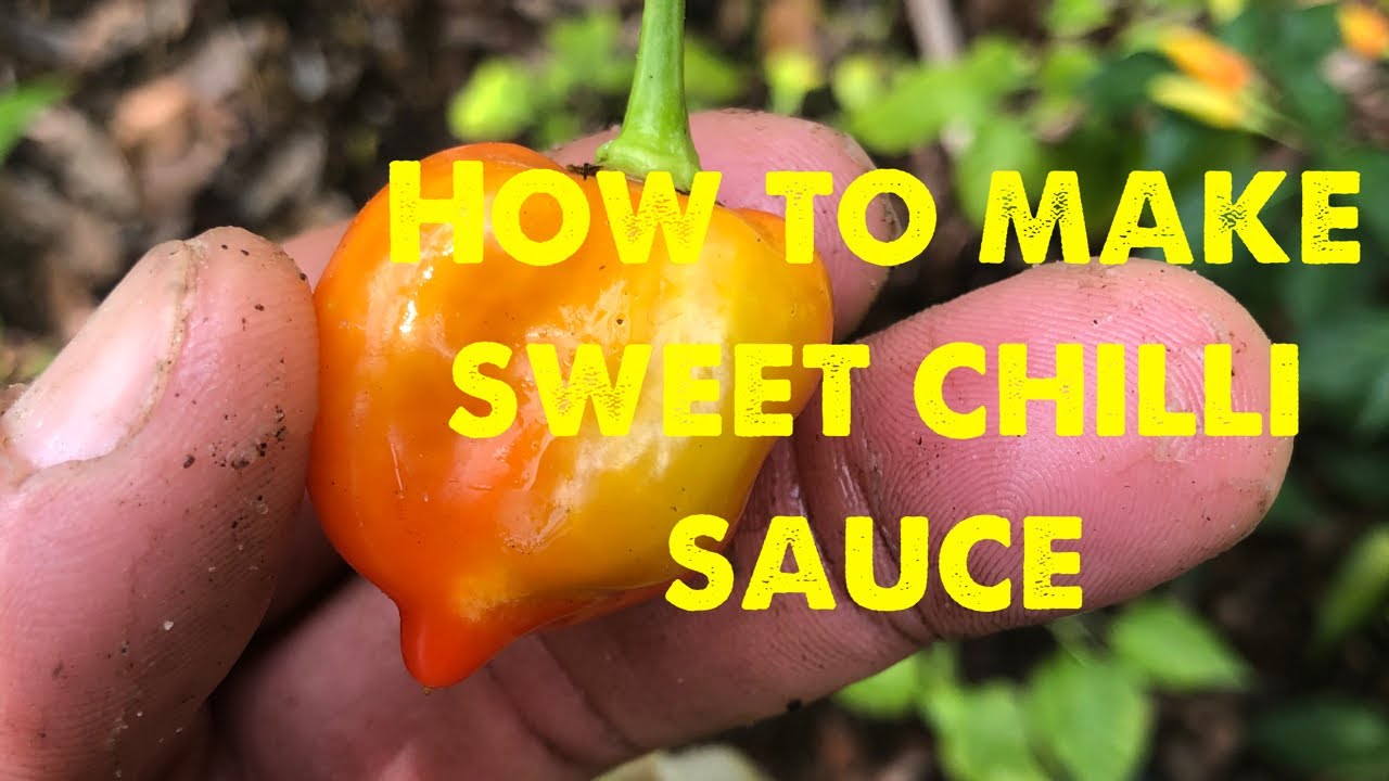 How to make sweet chilli relish ! - YouTube