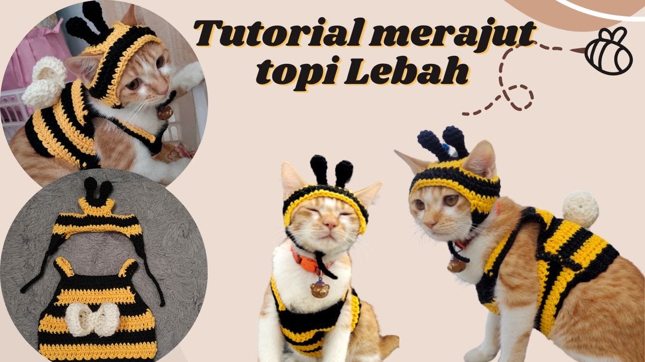 cara membuat topi lebah kucing | how to crochet honey bee cat hat - YouTube
