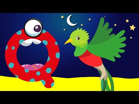 ABC Phonics with Animals | QUETZAL | Letter Q