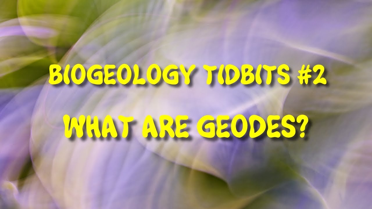 BIOGEOLOGY TIDBITS 2 WHAT ARE GEODES REALLY YouTube biogeology-tidbits-2-what-are-geodes-really-youtube
