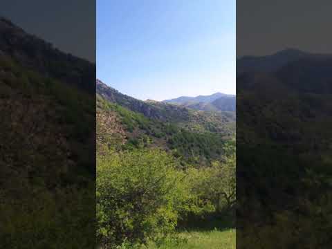 lerik tulu dağları