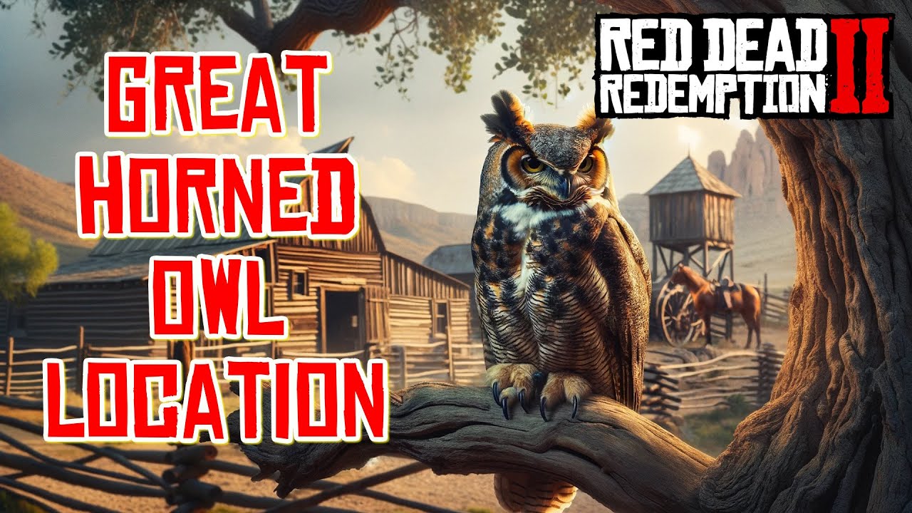 Great Horned Owl (Location) | Where To Find The Great Horned Owl | Red ...